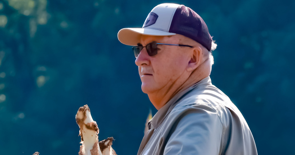 Kentucky Tobacco, Still a Tradition for Growers - Kentucky Farm Bureau